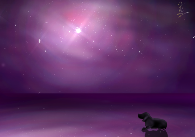 Star dog - ibisPaint