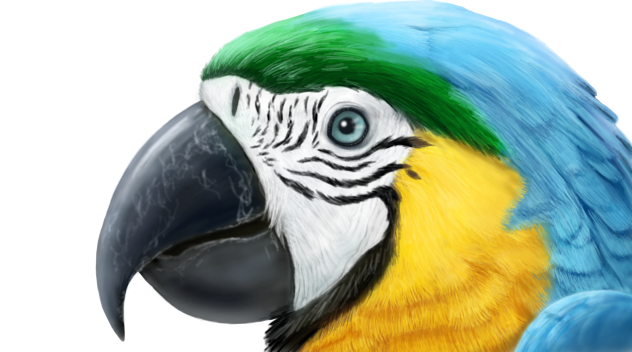 ルリコンゴウインコ(Blue-and-yellow macaw) - ibisPaint
