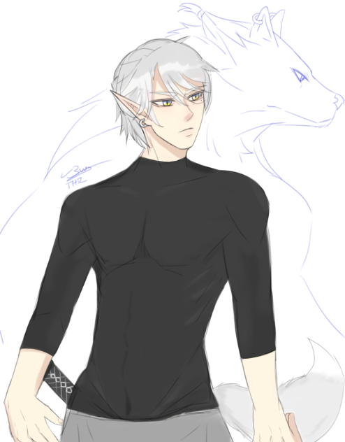 Wolf spirit - ibisPaint