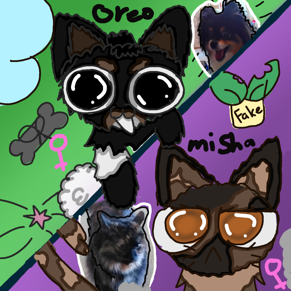 my pets!!! - ibisPaint