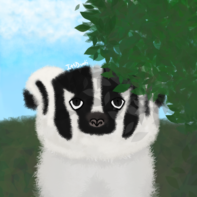 Badger - ibisPaint