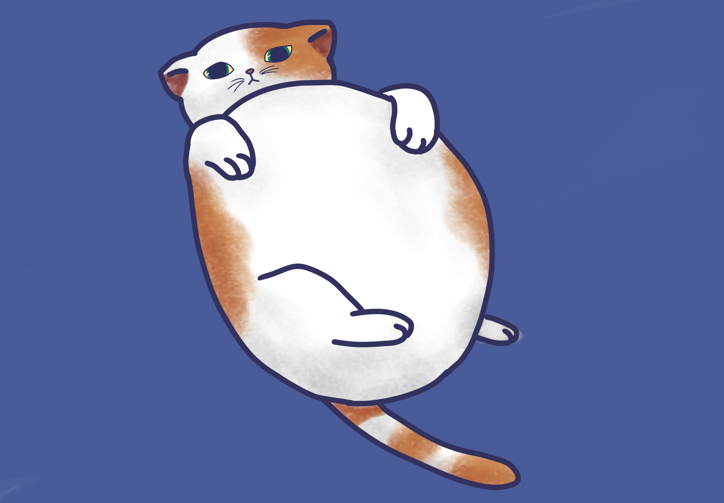 MY BIG FAT CAT its real lol - ibisPaint