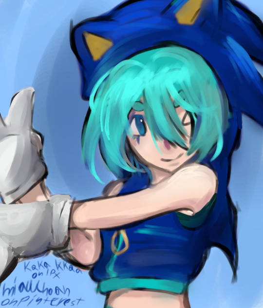 sonicu!!!(again) - ibisPaint