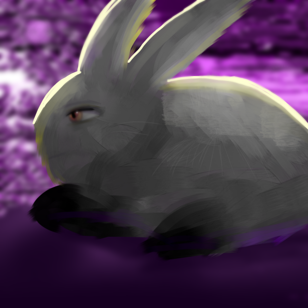 rabbit🐇🌆 - ibisPaint