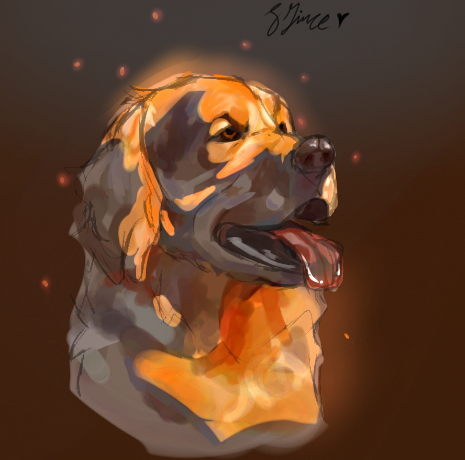 doge - ibisPaint