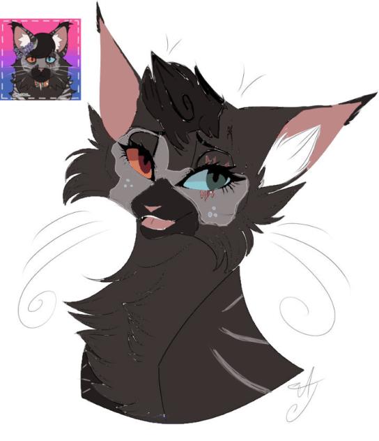 Sakura Oskar warrior cats oc - ibisPaint