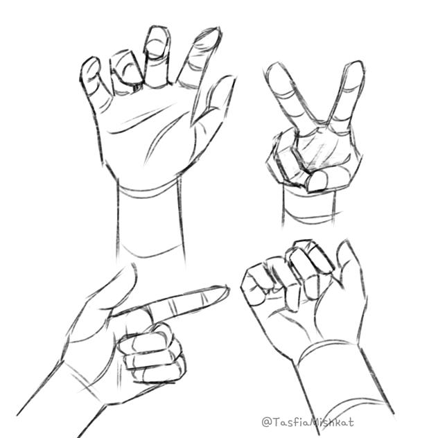 hand studies - ibisPaint