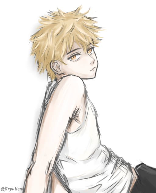 denji csm - ibisPaint