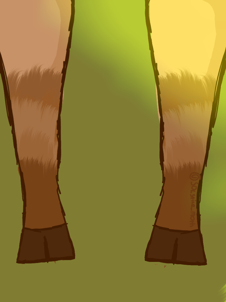 Hooves - ibisPaint