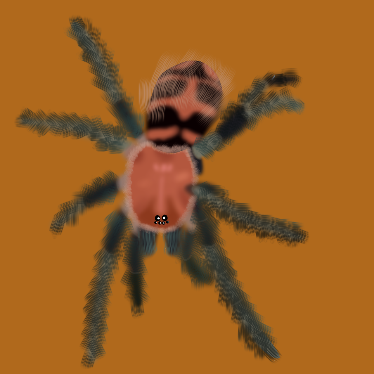 Tiger rump tarantula - ibisPaint