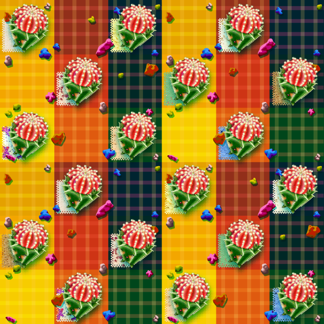 🌵𝐁𝐨𝐥𝐚 𝐫𝐮𝐛𝐢🌺-𝘗𝘢𝘵𝘵𝘦𝘳𝘯 C2 - ibisPaint