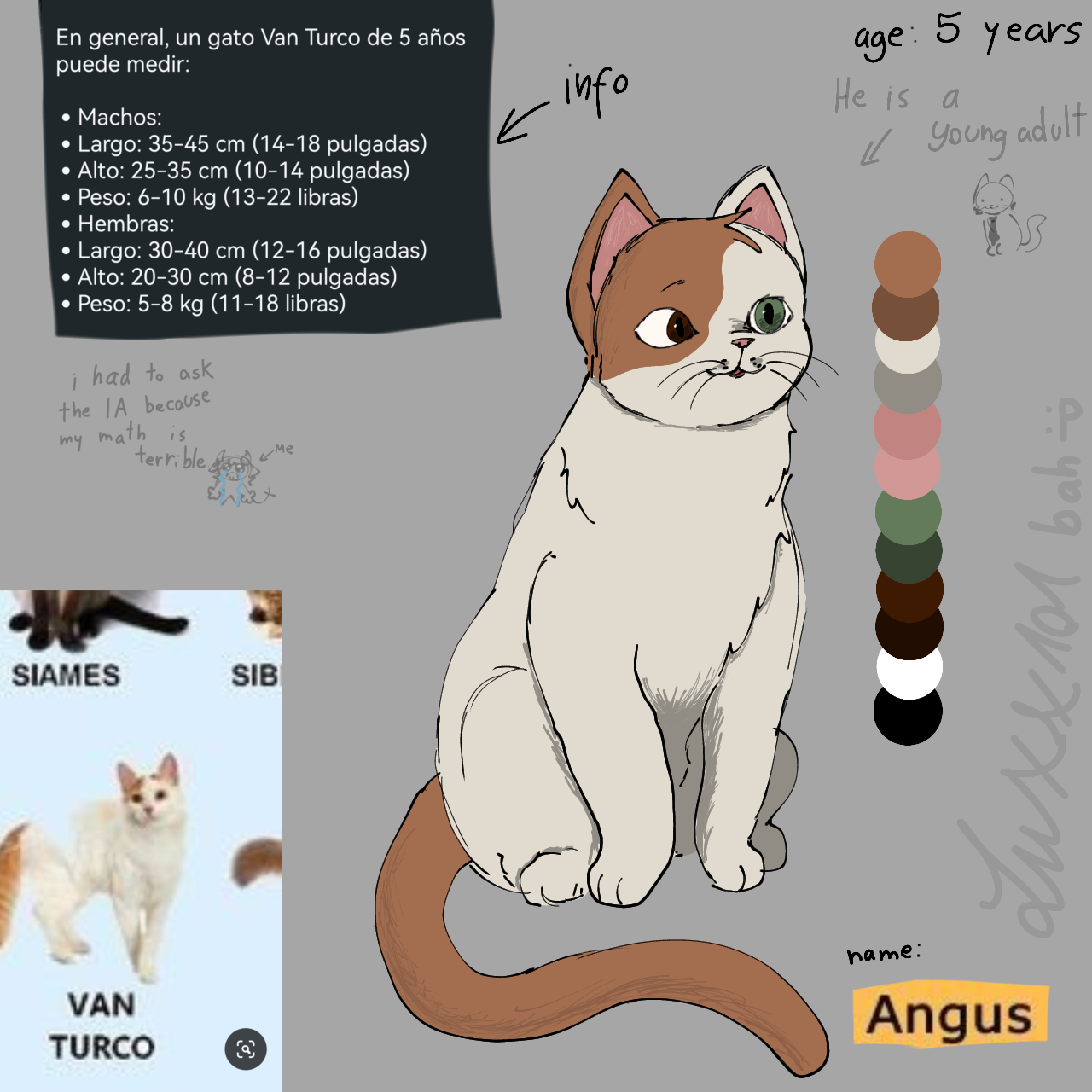 Angus info - ibisPaint