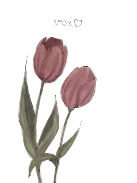 Tulip Flower - ibisPaint