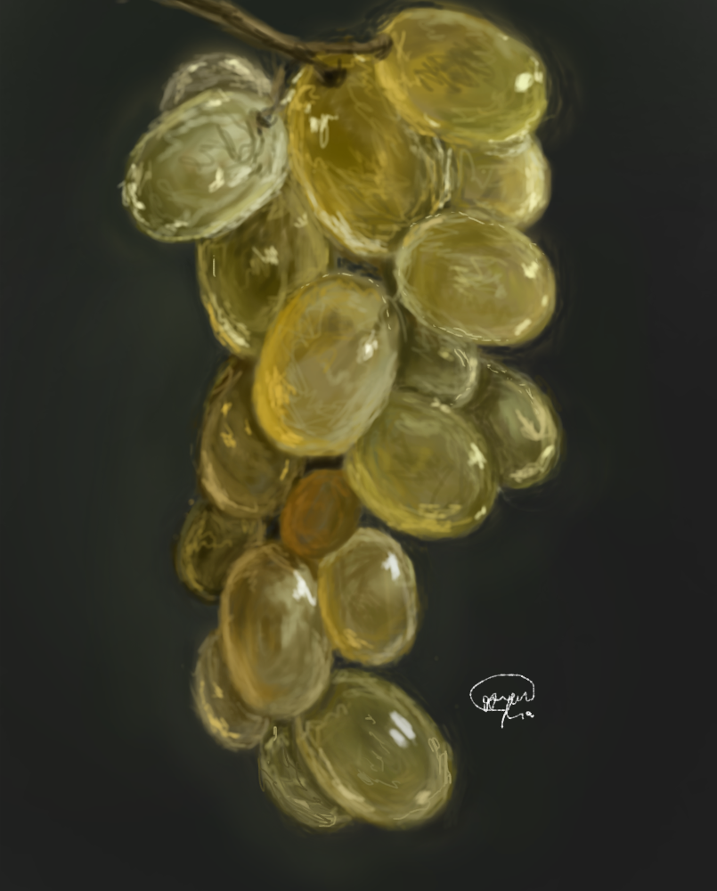 JuIcY GrApEs - ibisPaint