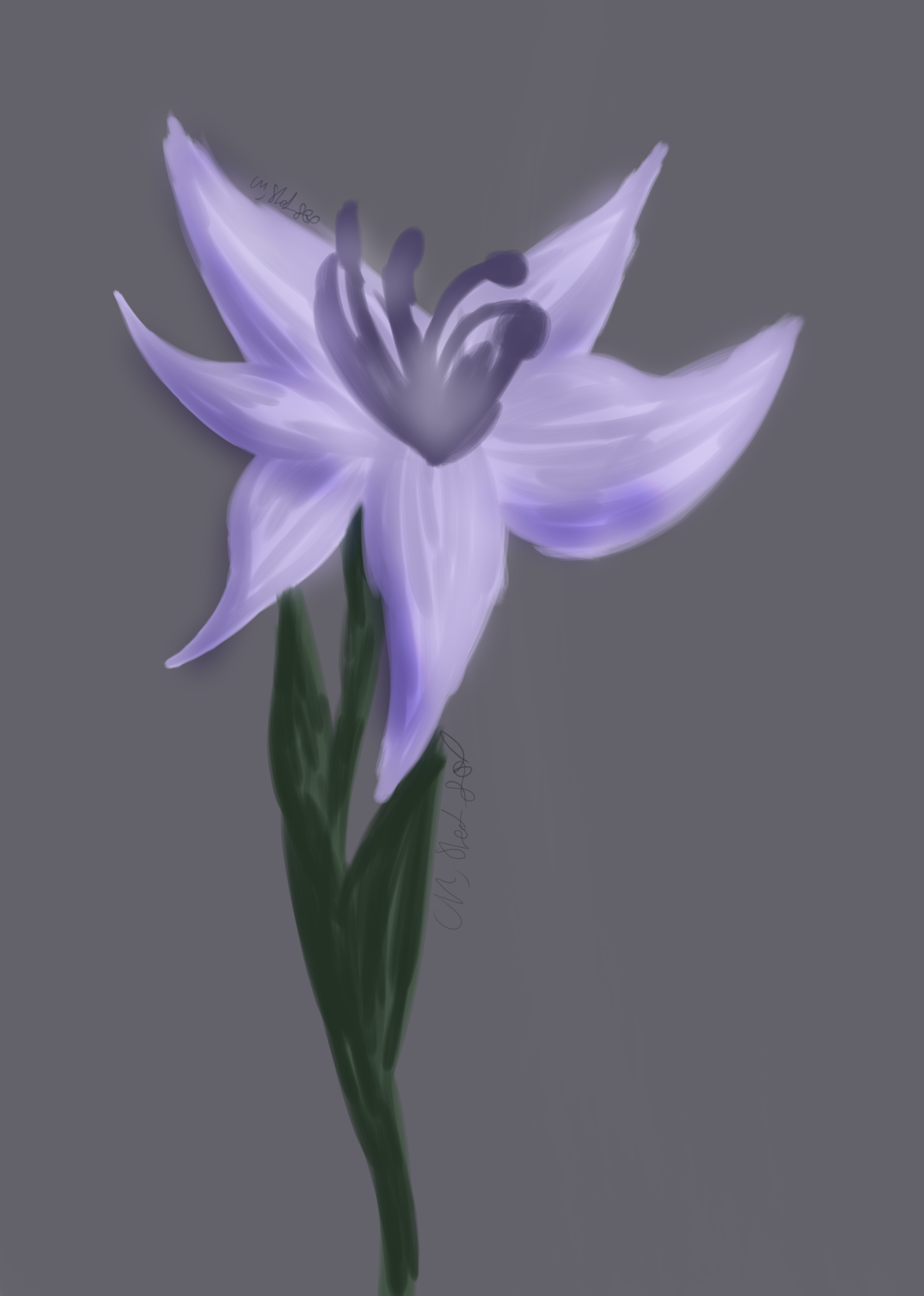 ^Oak's Flower^ - ibisPaint