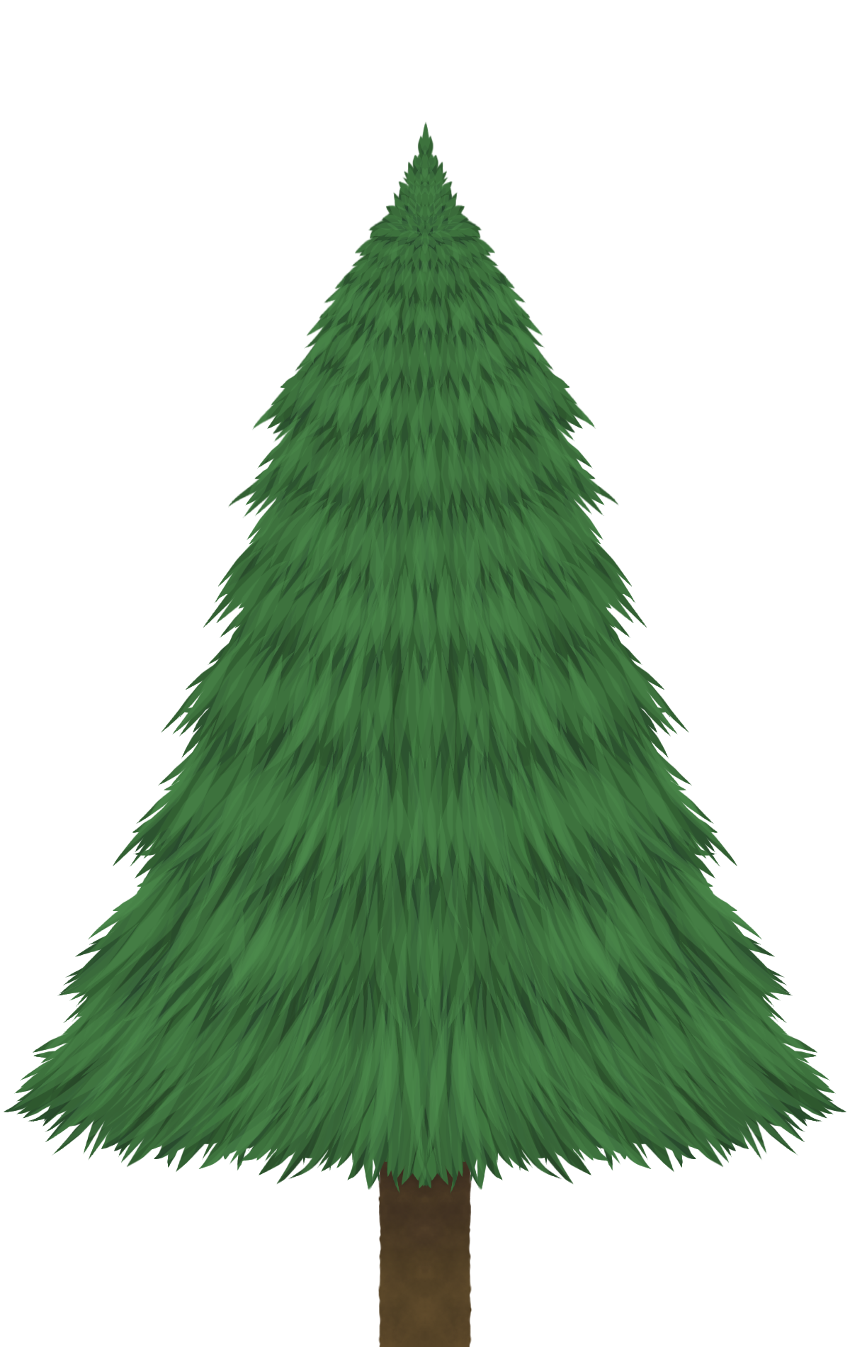 Pine tree - ibisPaint