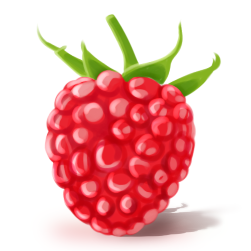 Raspberry - ibisPaint