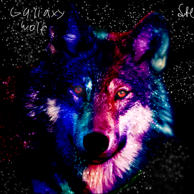 Galaxy Wolf - ibisPaint