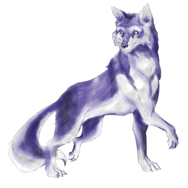 wolf - ibisPaint