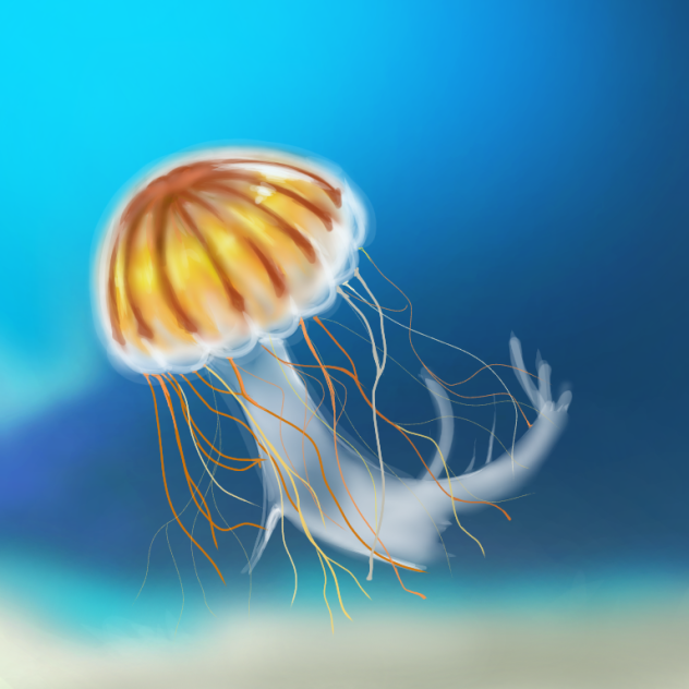 Jellyfish - ibisPaint