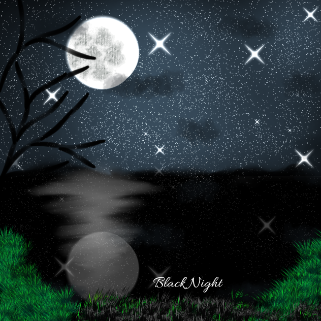 Black night - ibisPaint