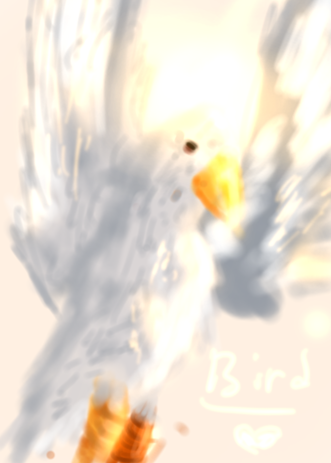 Bird - ibisPaint
