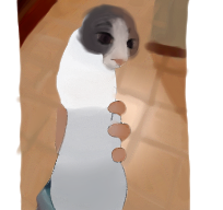 Sock Cat - ibisPaint