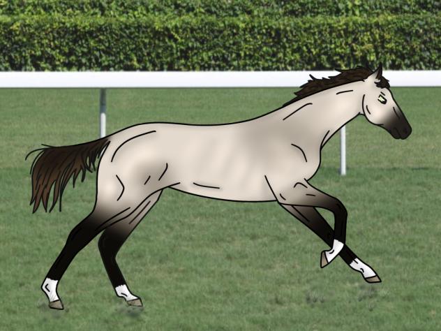 talon on the racetrack - ibisPaint