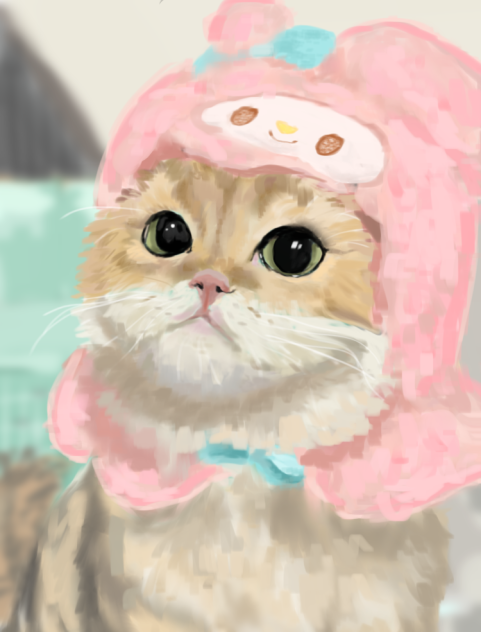 🐱 kitty - ibisPaint