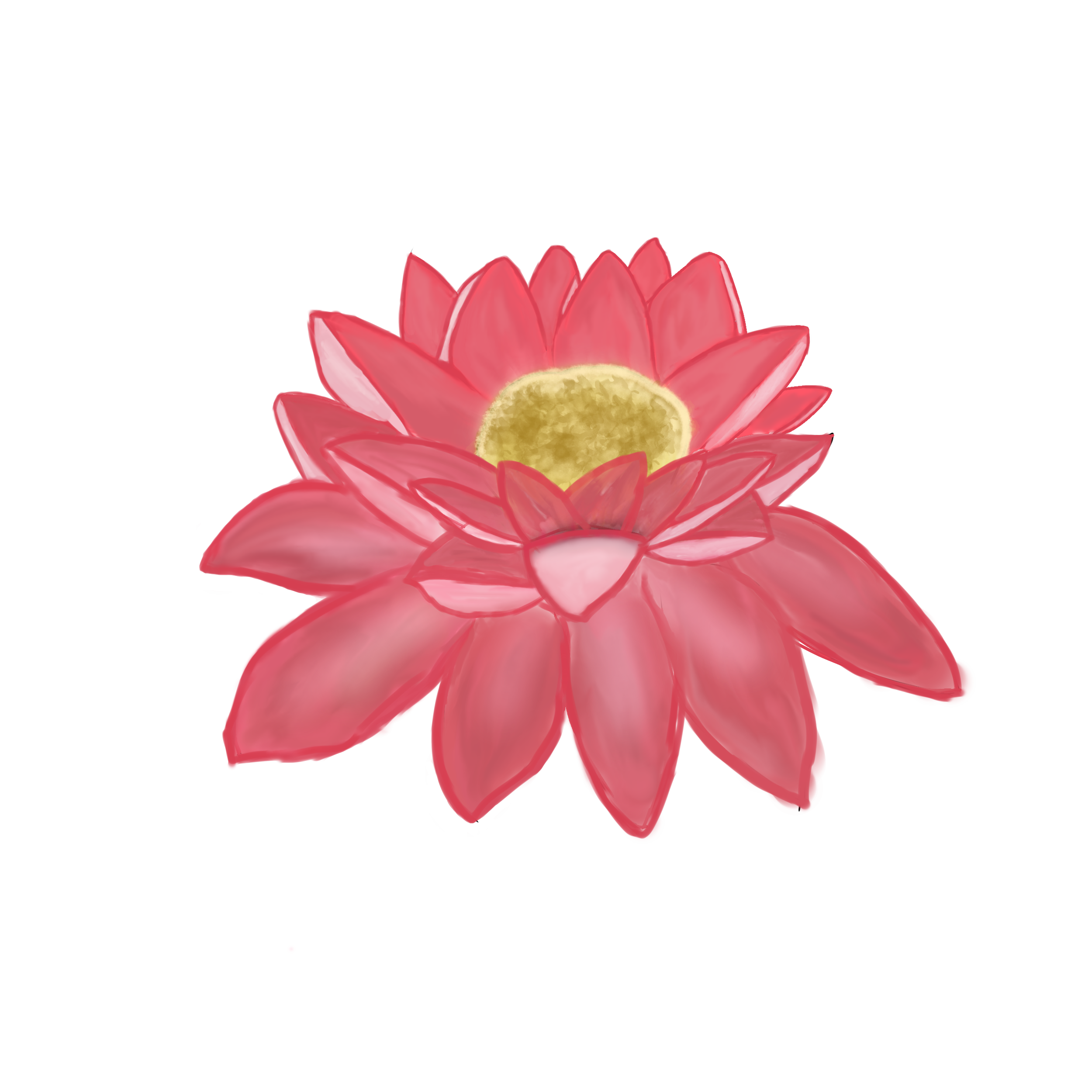 Red Lotus flower - ibisPaint