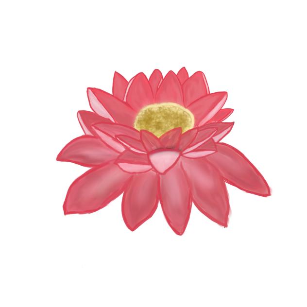 Red Lotus flower - ibisPaint