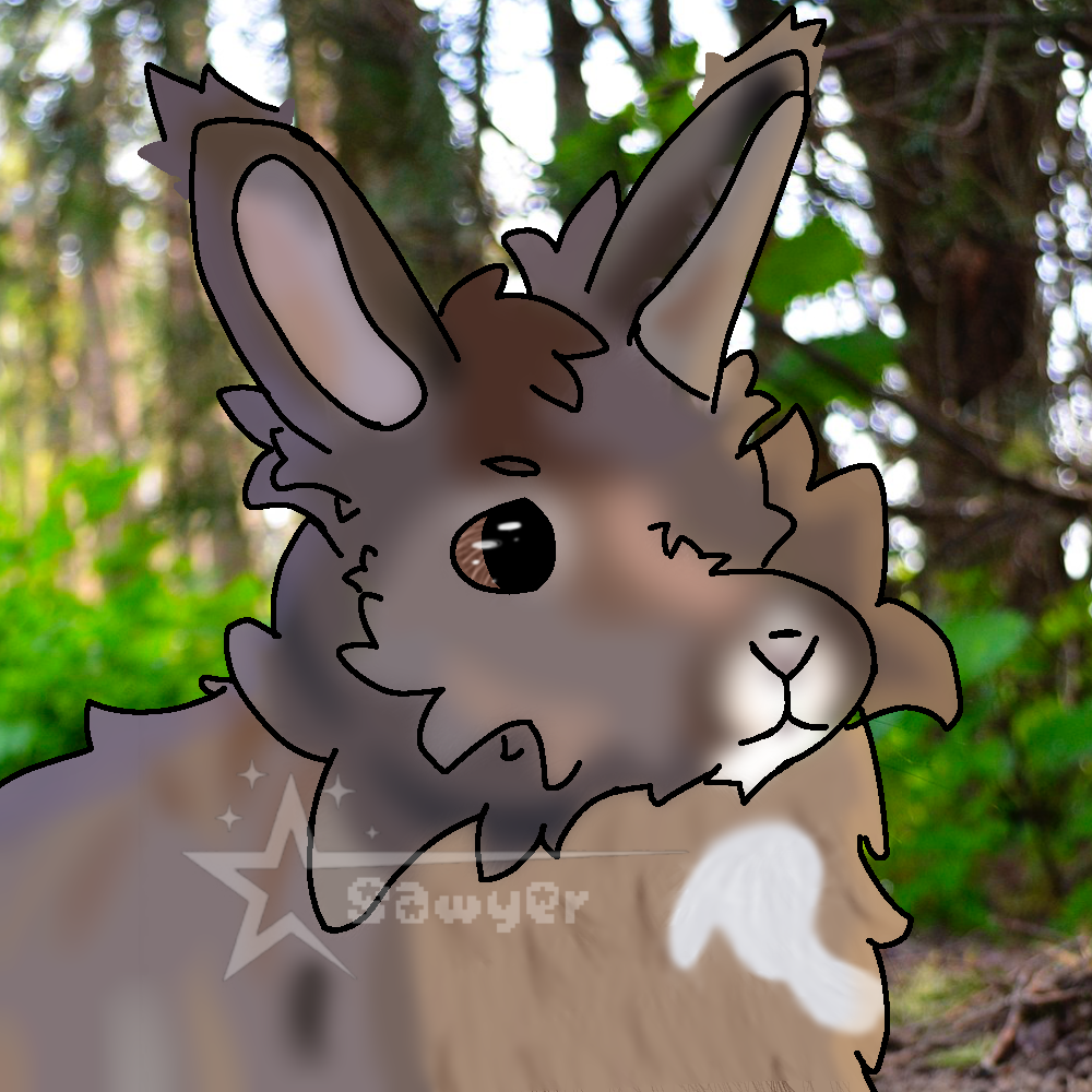 Wild Rabbit - ibisPaint