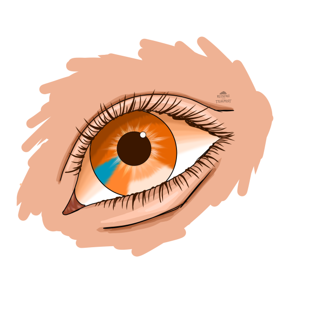 Eye experiment - ibisPaint