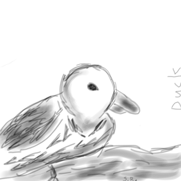 Ducky - ibisPaint