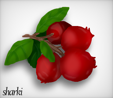 berry.¿ - ibisPaint