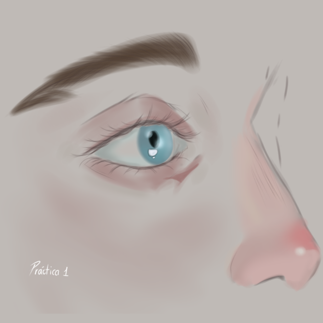 Práctica 1 - ibisPaint