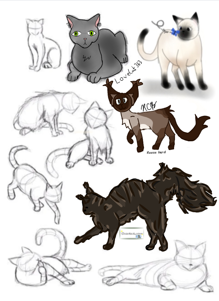 Untitled1053 (collab 12) - ibisPaint