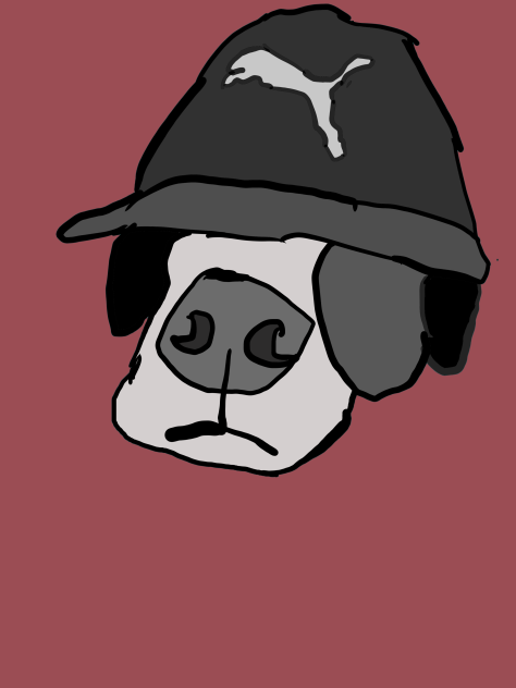 Swag dog - ibisPaint