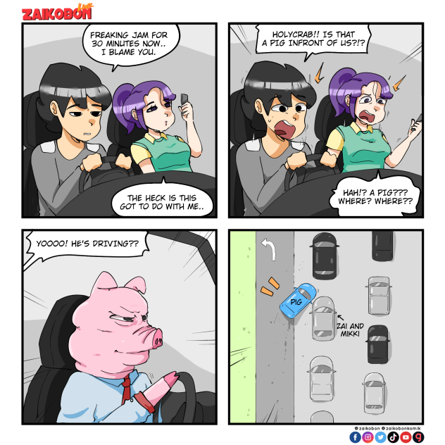 That one driver - ibisPaint