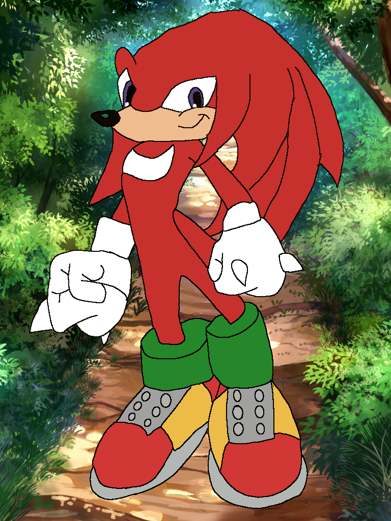 knuckles - ibisPaint