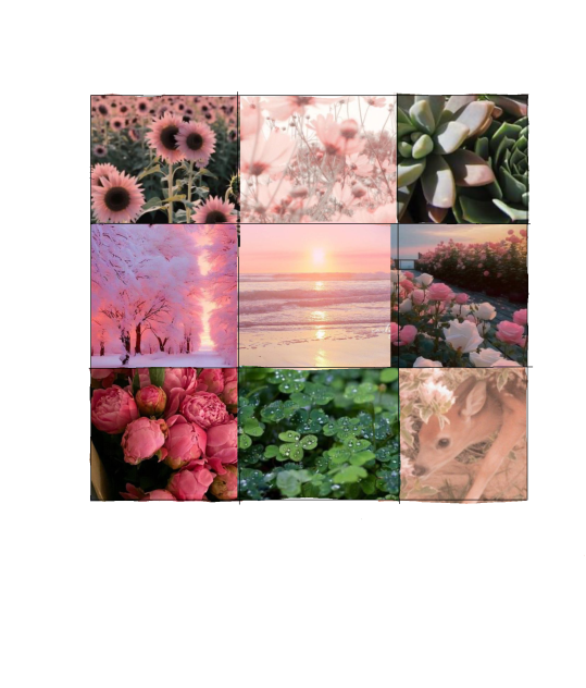Aesthetic pink nature themed Moodboard - ibisPaint