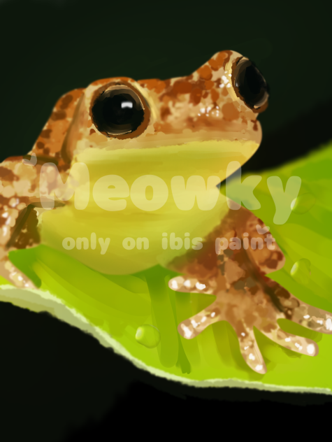 ferg the second - ibisPaint