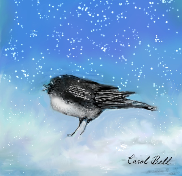 Snowbird - ibisPaint