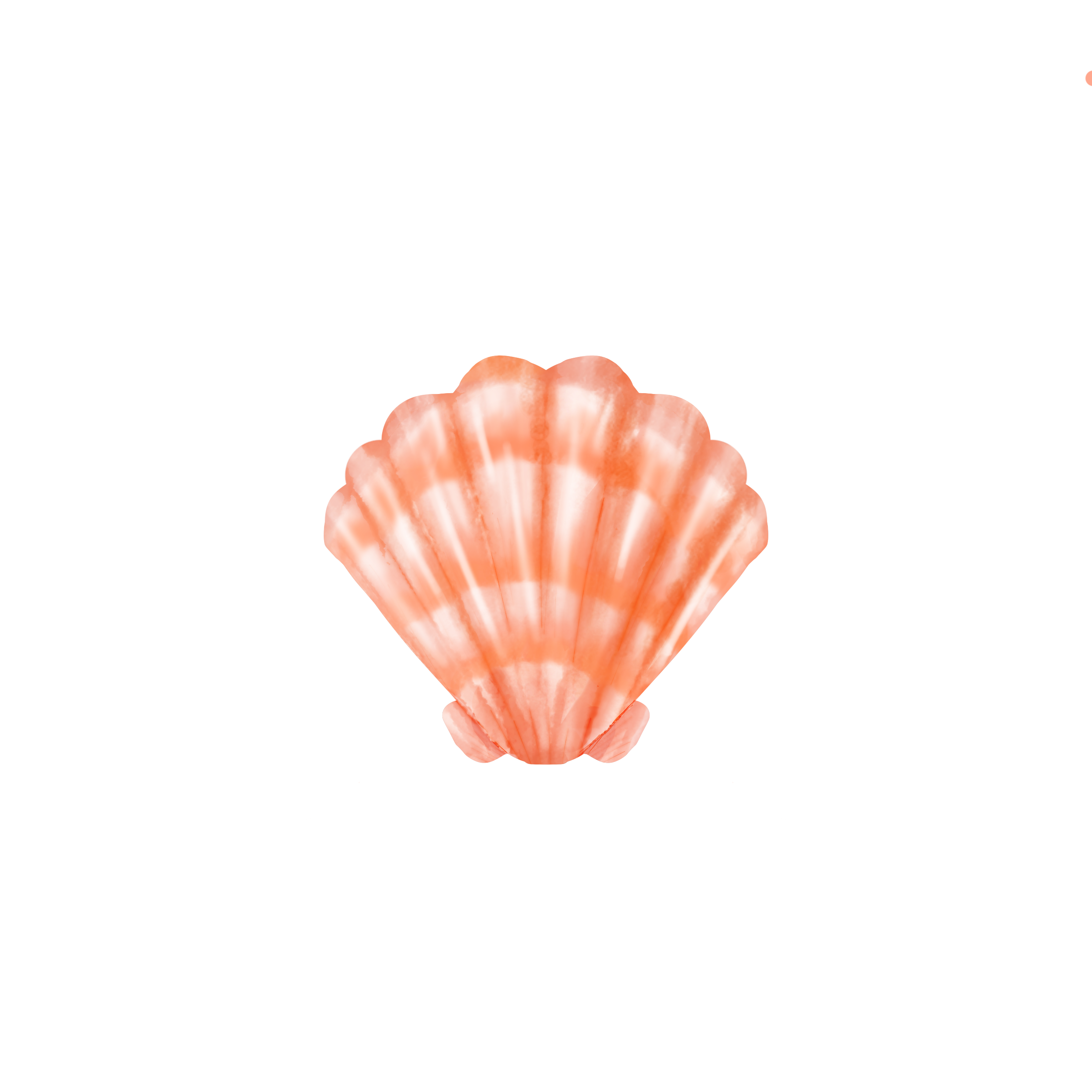 Seashell - ibisPaint