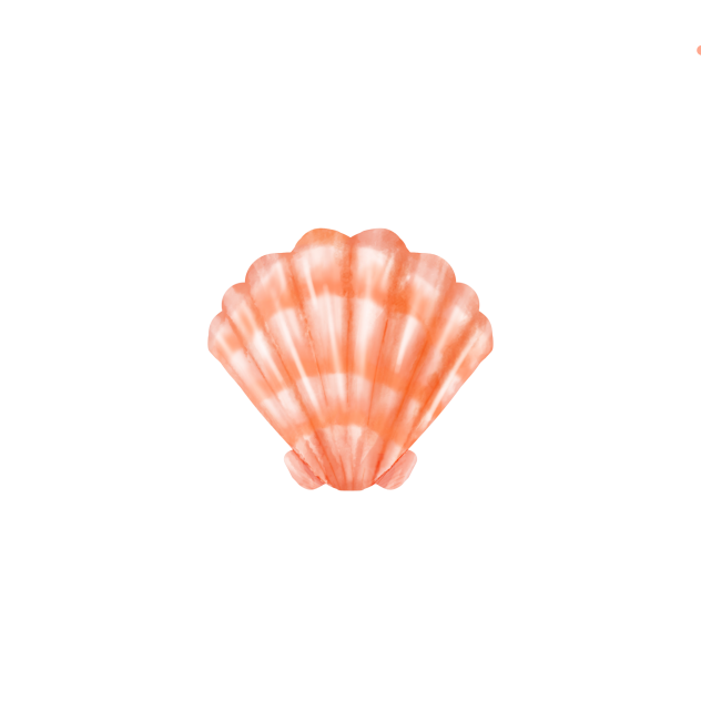 Seashell - ibisPaint
