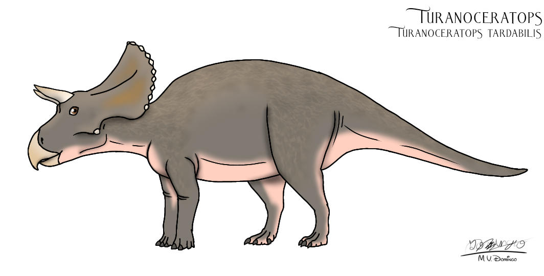 Turanoceratops tardabilis female - ibisPaint