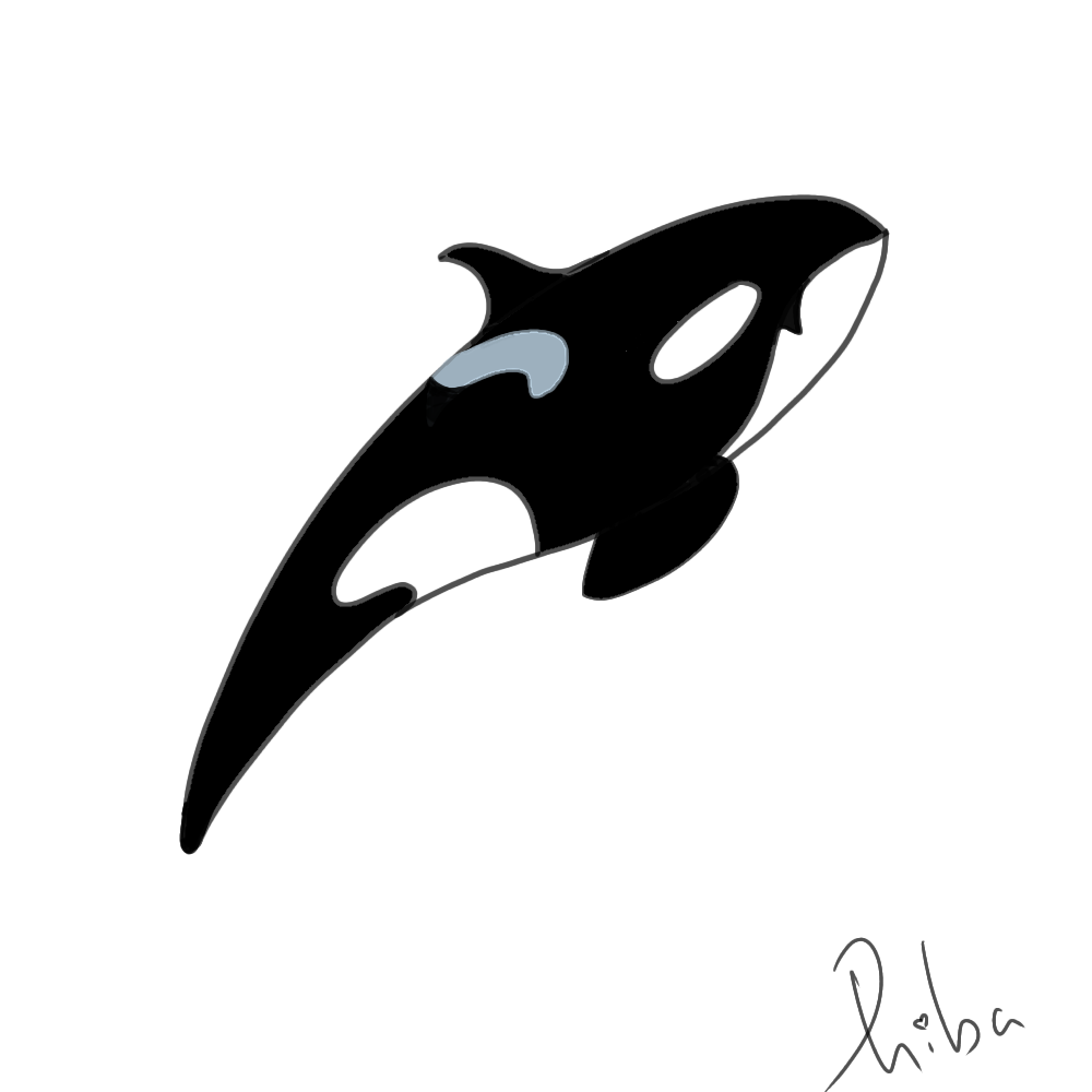 Orca - ibisPaint