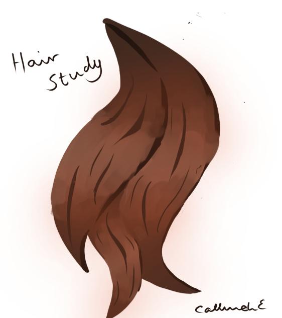 Hair Study ️🤎 - ibisPaint