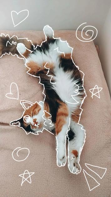 Pfp Therian de gato tricolor-calico cat - ibisPaint