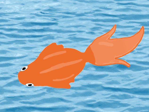 fish - ibisPaint